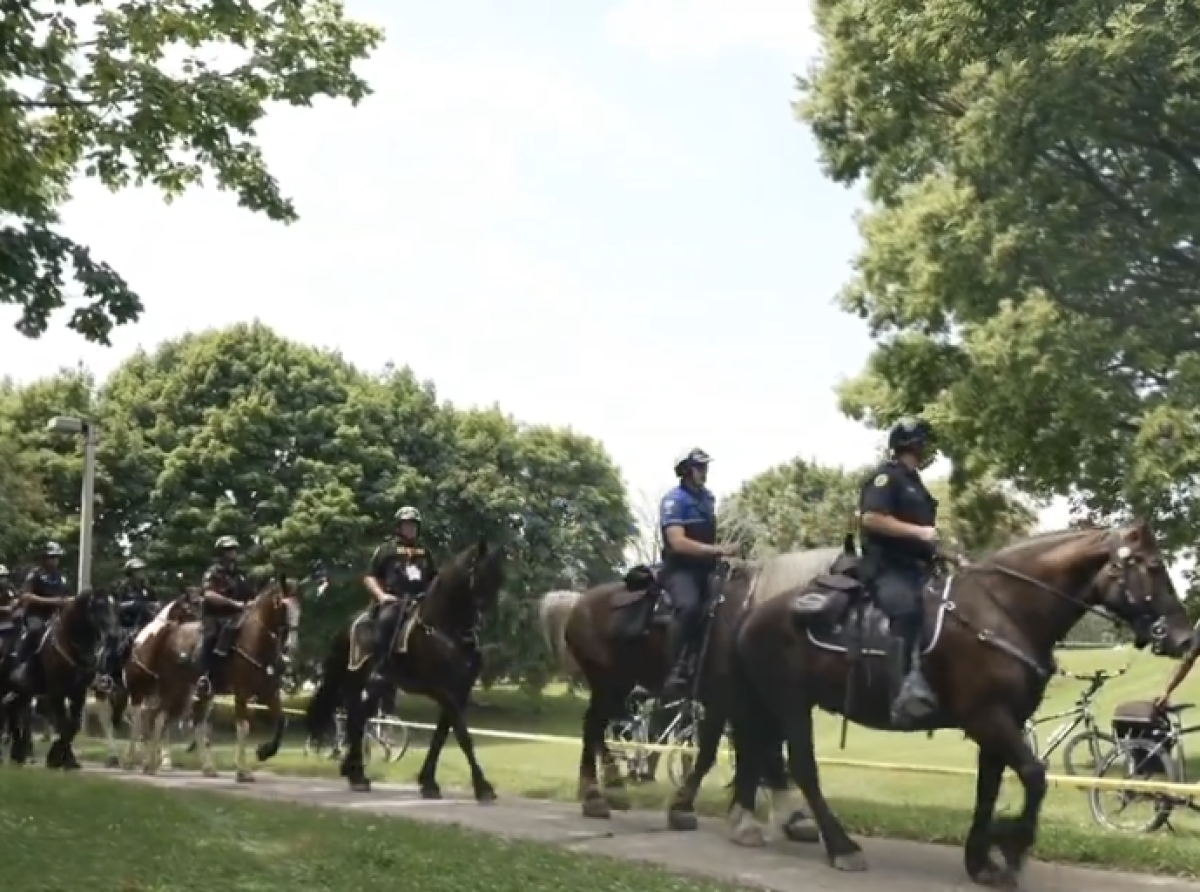 Otro Intento de Magnicidio - La Polaka - Periodismo Alternativo ...